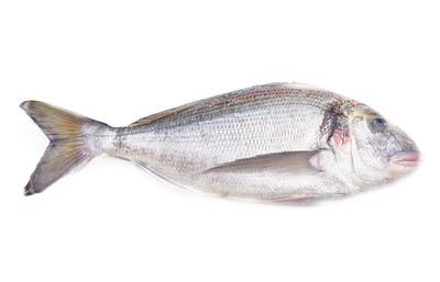 Dorada regala 400-600 g, 1 kg – walfresh